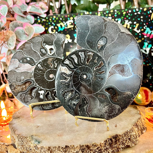 Freeforms – The Crystalline Soul